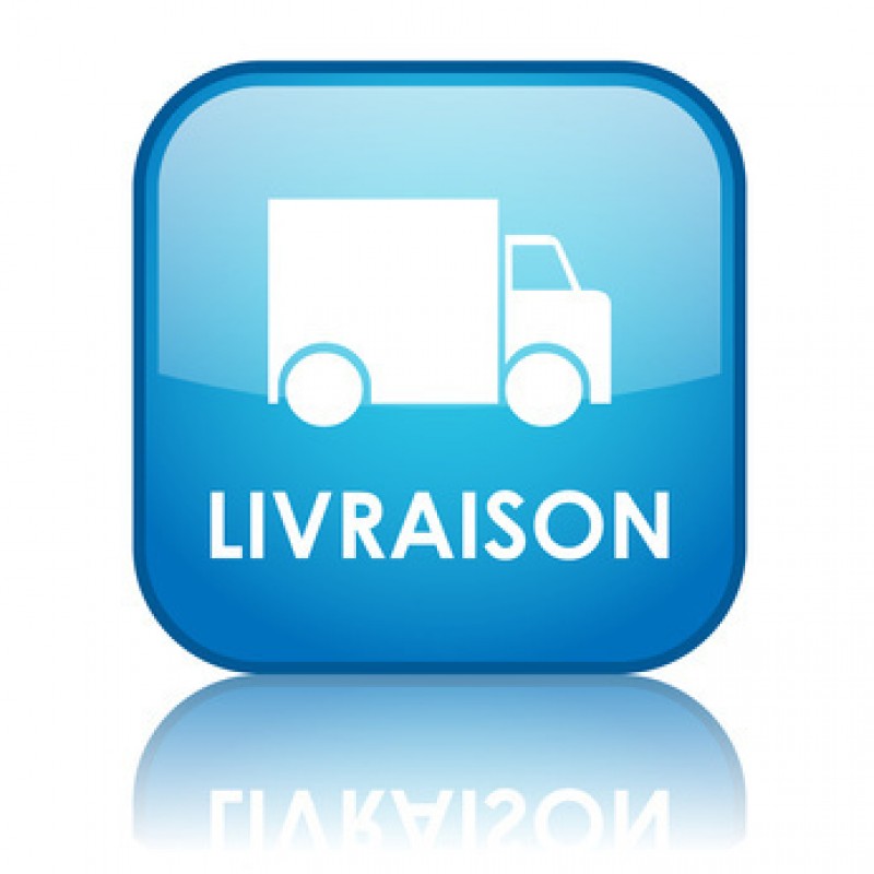 Frais de livraison - Elec-Boutique.fr